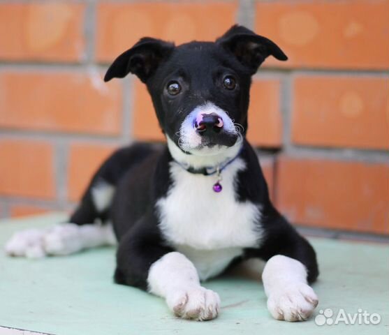 Особенный малыш Оливер