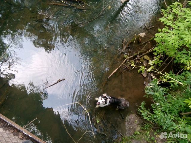 Ищу подругу