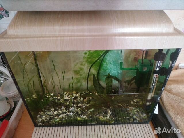 Аквариум
