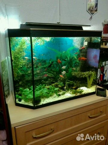 Аквариум 110 литров