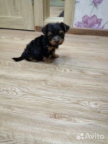 Очаровательный малыш