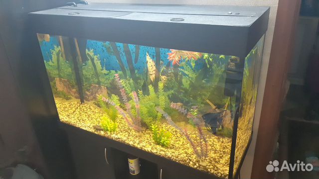 Аквариум