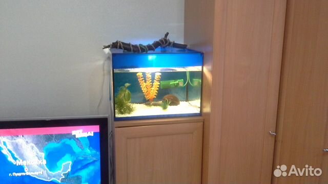 Аквариум 65 л