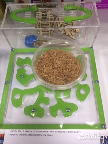 Муравьиная ферма