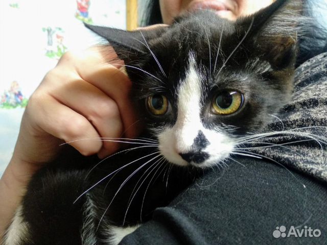 Клякса ждет маму