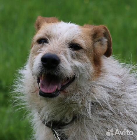 Дженна. Лесной приют