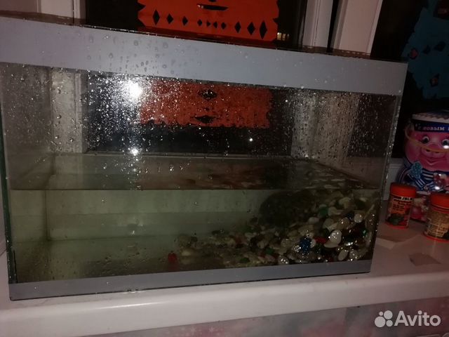 Продам аквариум вместе с черепашками