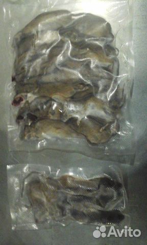 Продам кормовых мышей