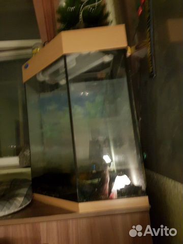 Аквариум Лагуна 100 Биодизайн