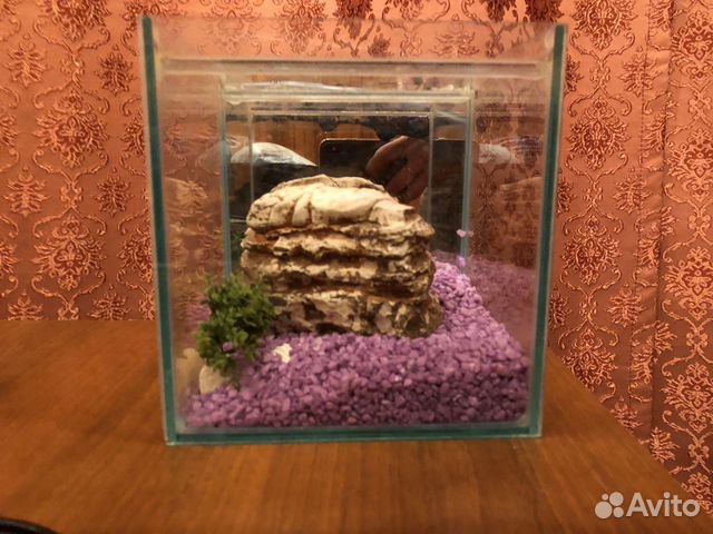 Аквариум 4л