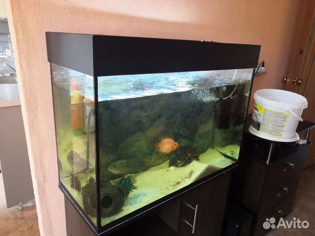 Аквариум с оборудованием