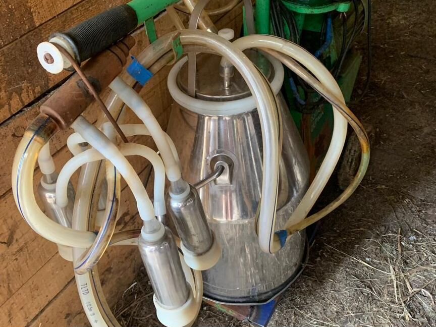 Доильный аппарат, подонны