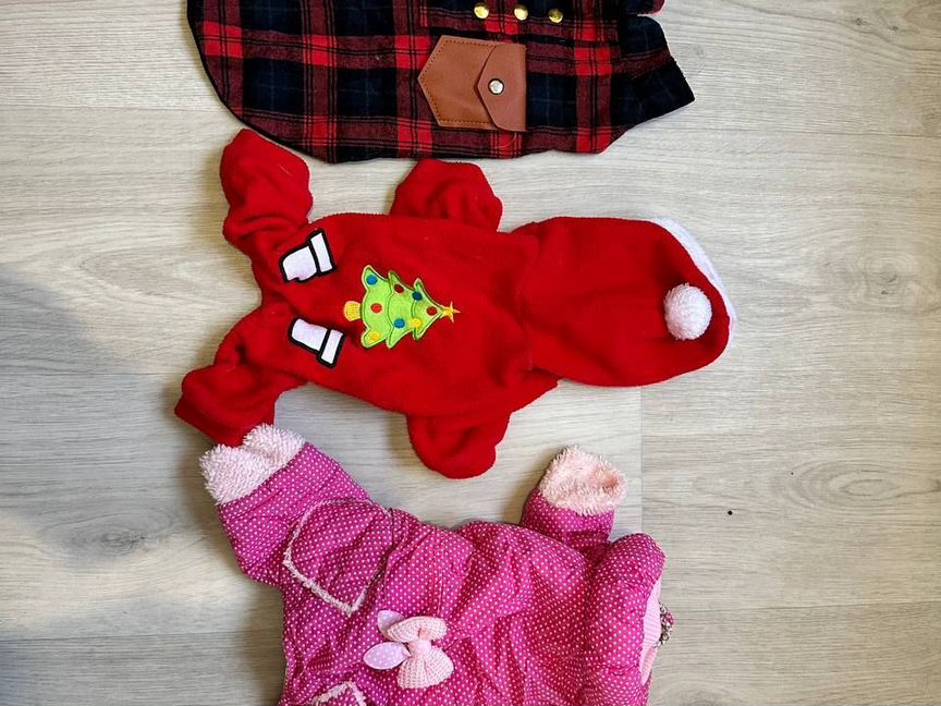 Одежда для собак