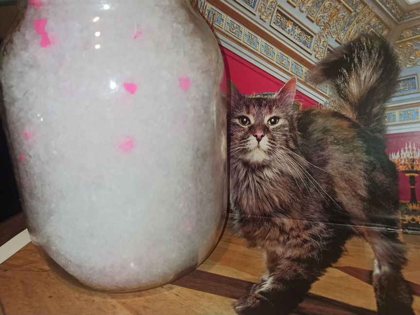 Селикагель, наполнитель кошачьего туалета