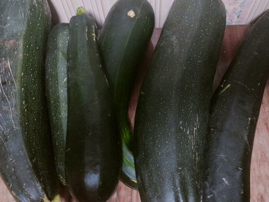 Морковь, кабачки на корм для животных