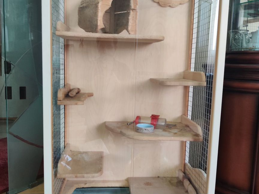 Витрина для шиншиллы с буковыми полками