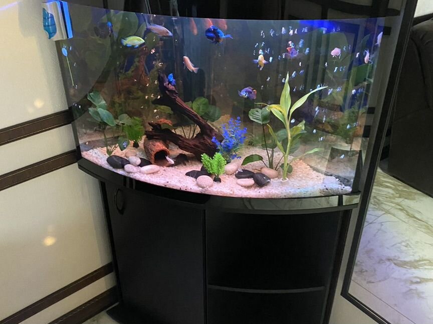 Аквариум на 170 л. с двойным усиленным дном