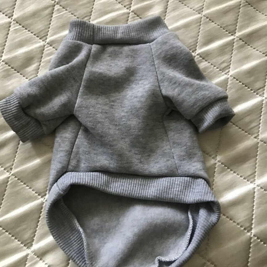 Джемпер для котика и поводок