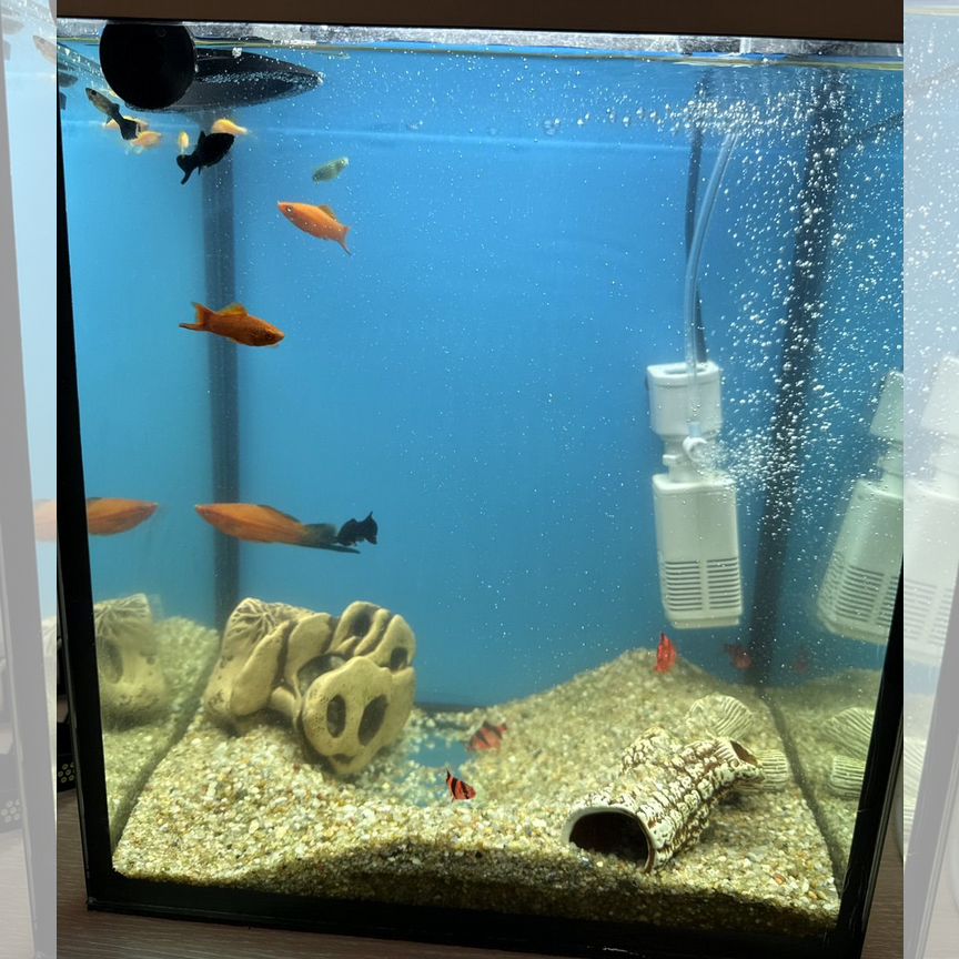 Аквариум на 35 литров с крышкой и подсветкой