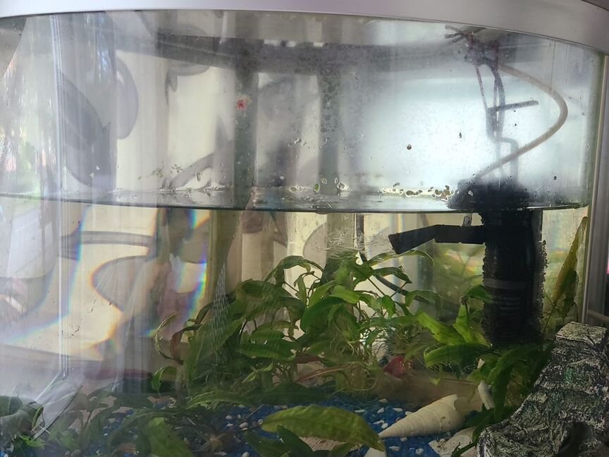 Аквариум угловой 45л