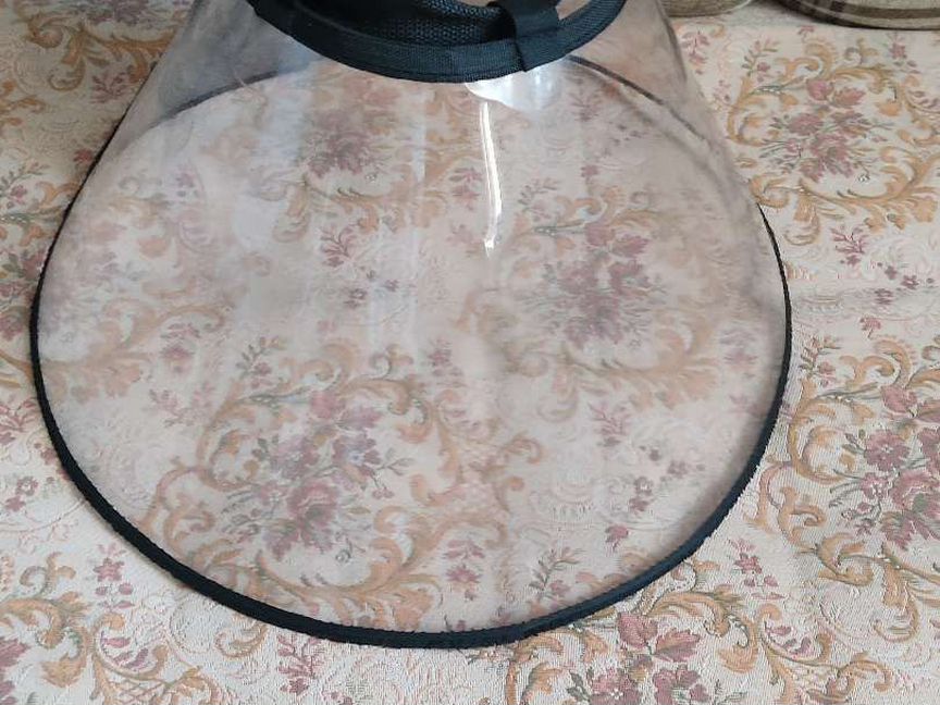 Товары для животных