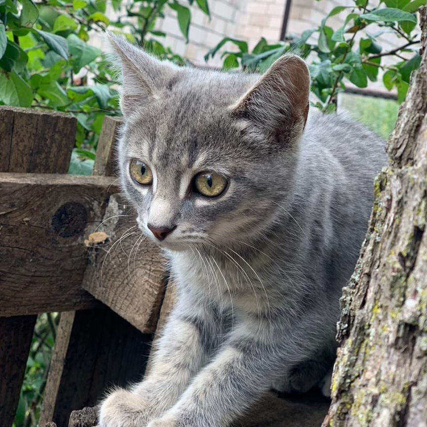 Мальчик 3,5 мес вакцинирован