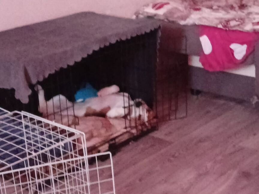 Клетка вольер для собак бу 76/46/53 см