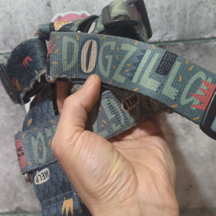 Dogzila шлейка, шарик дог