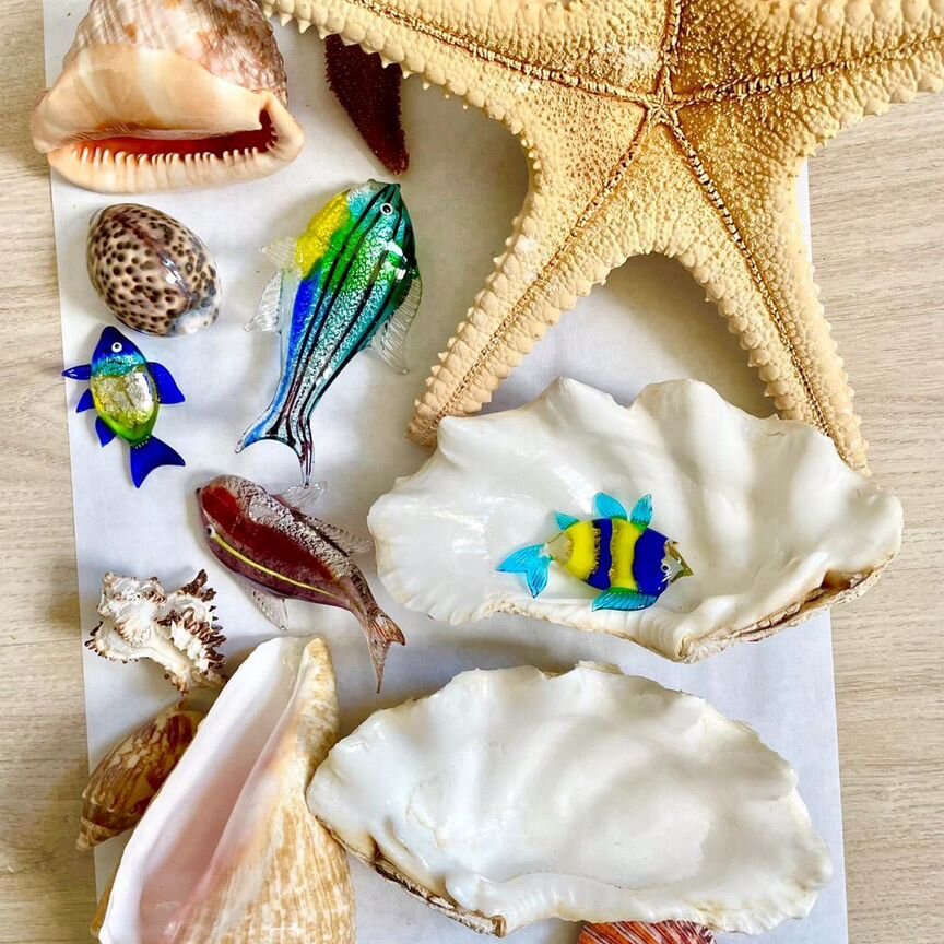 Ракушки для аквариума