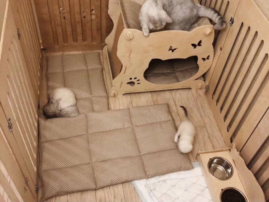 Лежанка когтеточка гамак для кошек