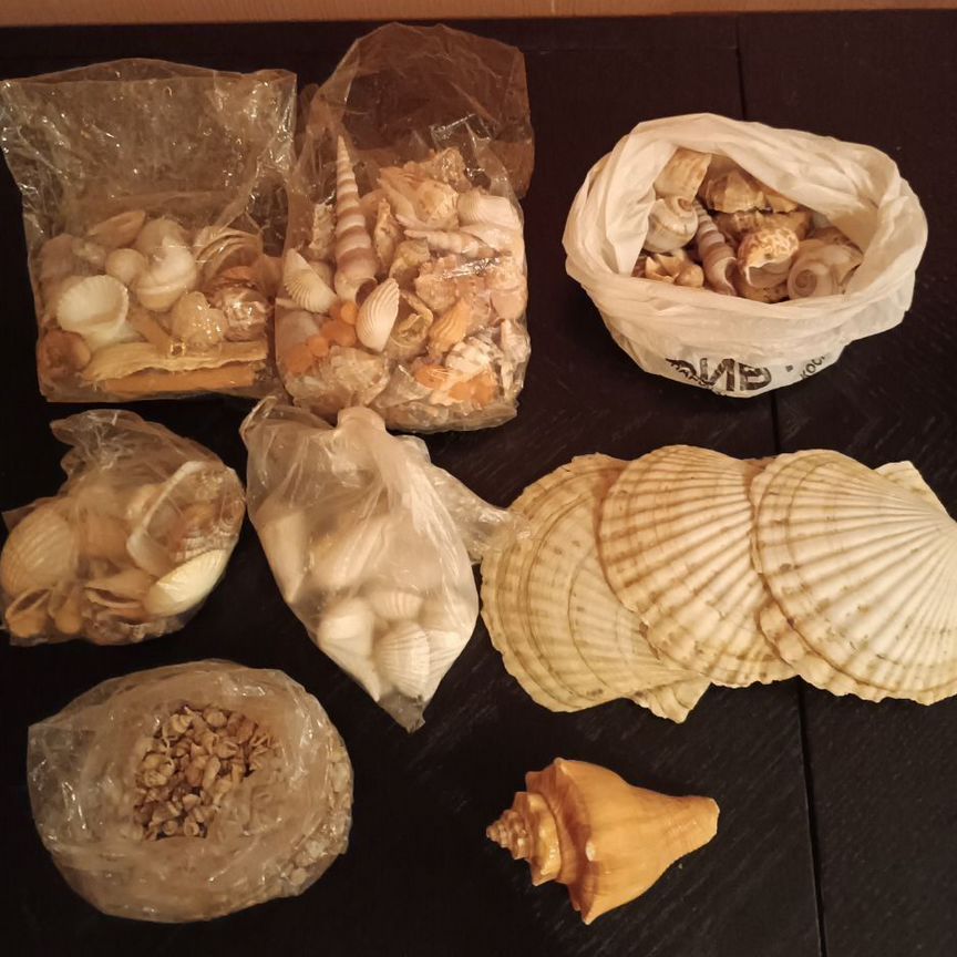 Большой набор ракушек. Разные