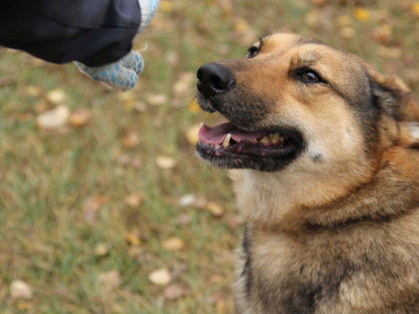 Я - Синди, ребенок нежный)