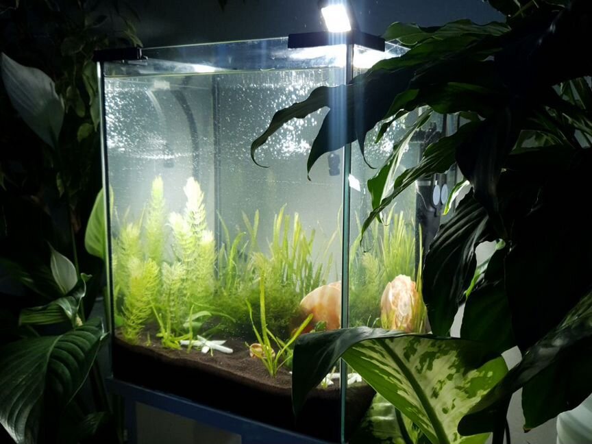 Аквариум Aquael 30
