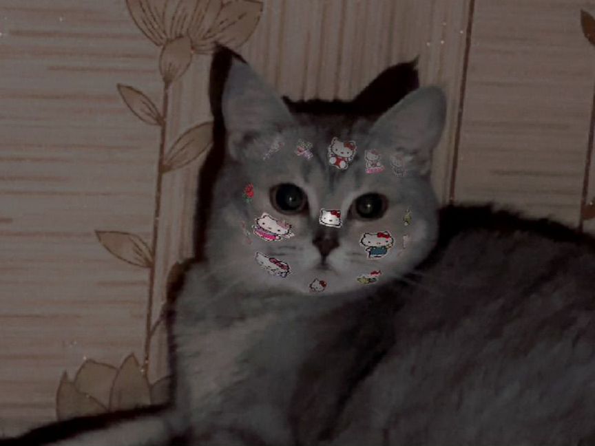 Британская