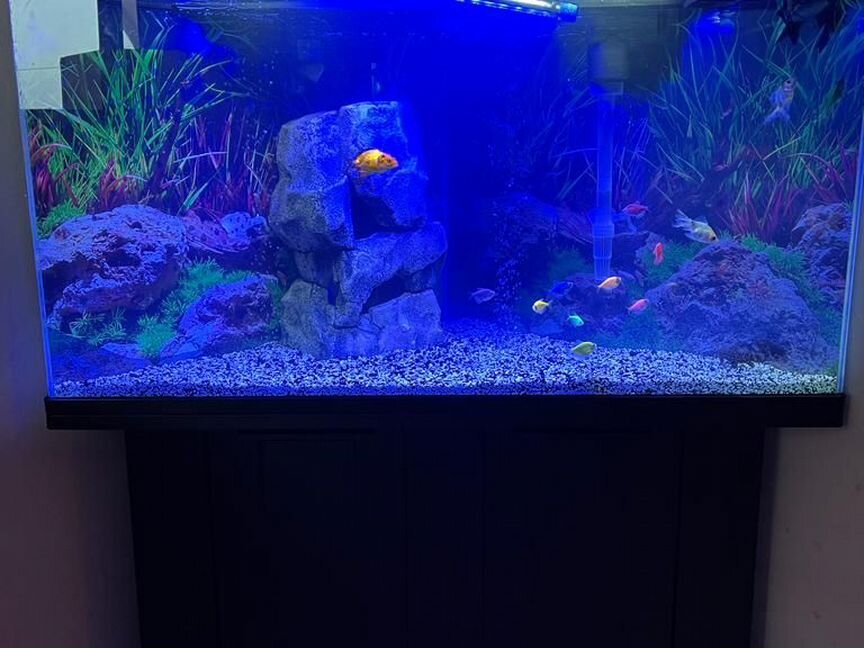 Продам аквариум