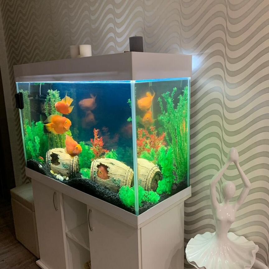 Аквариум с тумбой 250 л