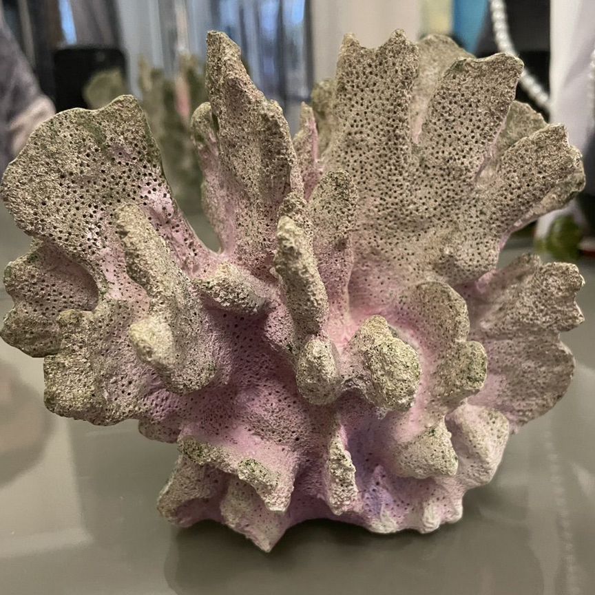 Коралл в аквариум