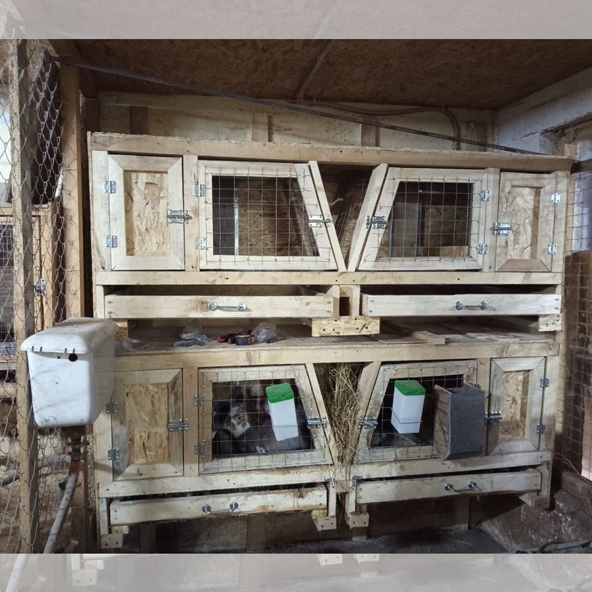 Клетки для кролика