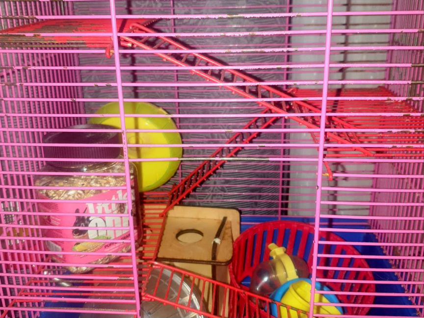 Клетка для грызунов