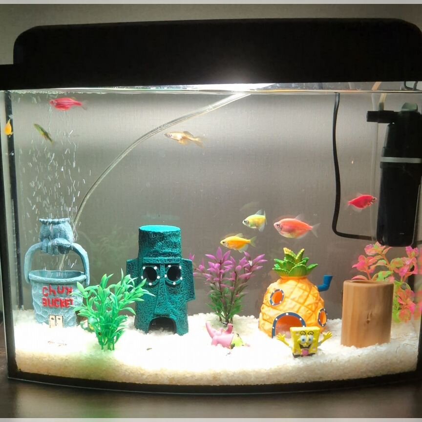 Аквариум с рыбками   весь комплект