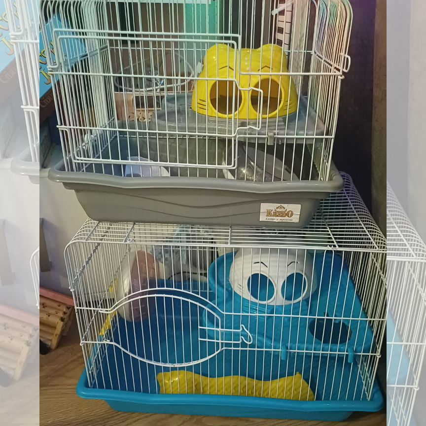 Клетки для хомяка