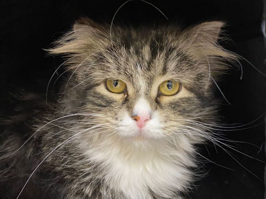 Никто не замечает