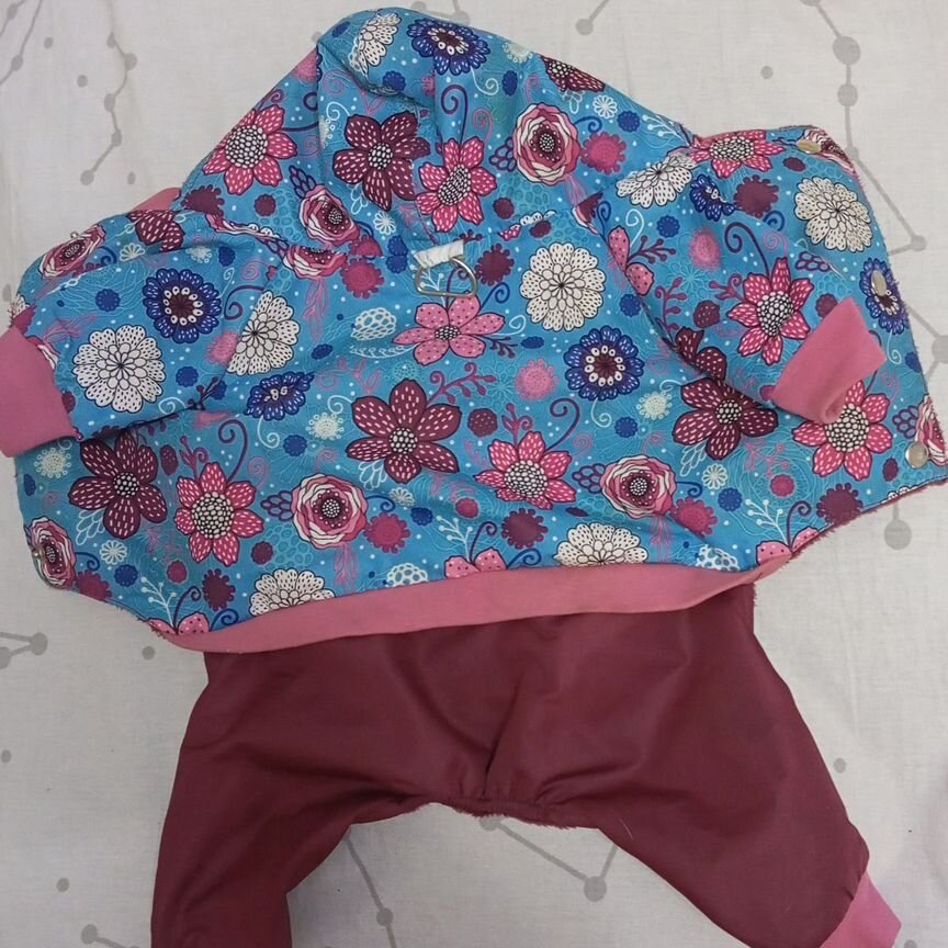 Одежда для маленьких собак зима