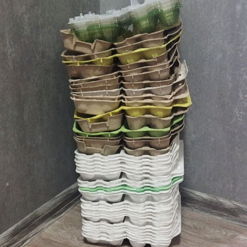 Лотки для куриных яиц