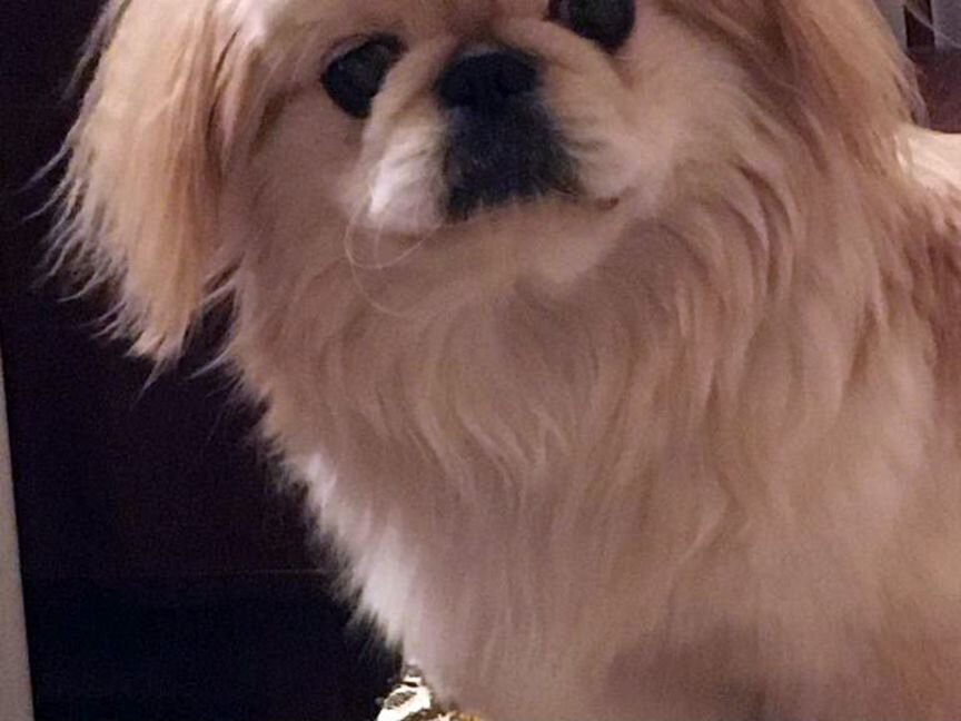 Ищем кавалера