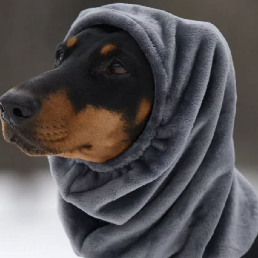 Шапка для собак снуд/капор