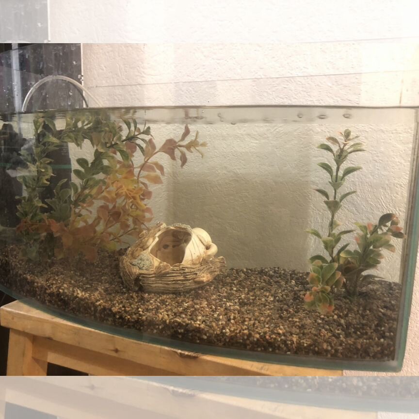 Аквариум панорамный 20 л