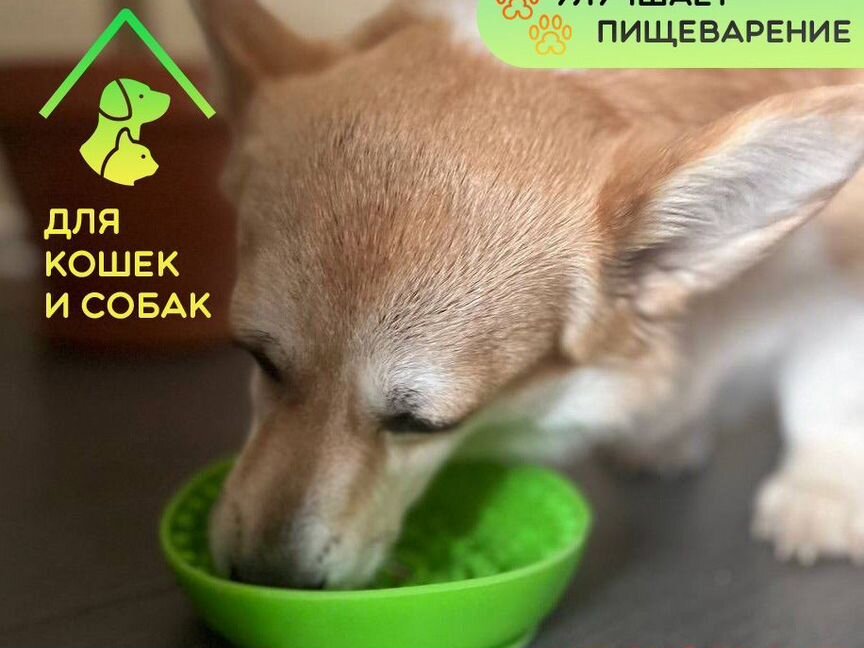 Миски для собак и кошек