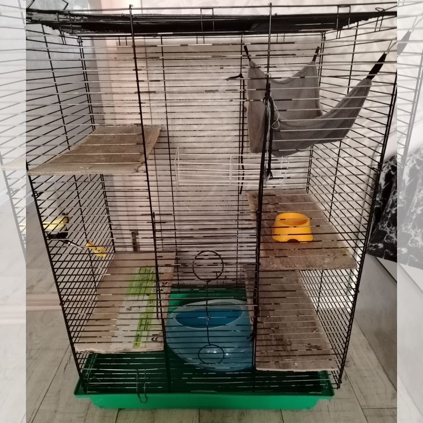 Клетка для грызунов большая