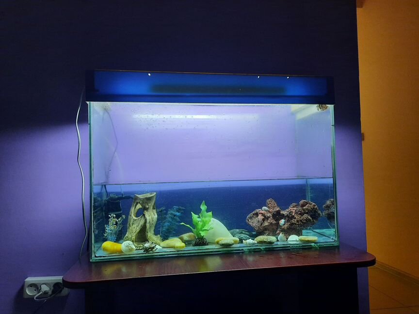 Аквариум на 100 литров